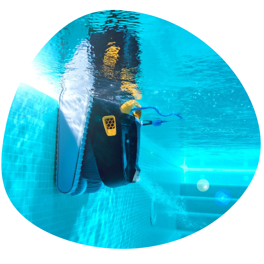 Dolphin Robotic Cleaners - Poolside